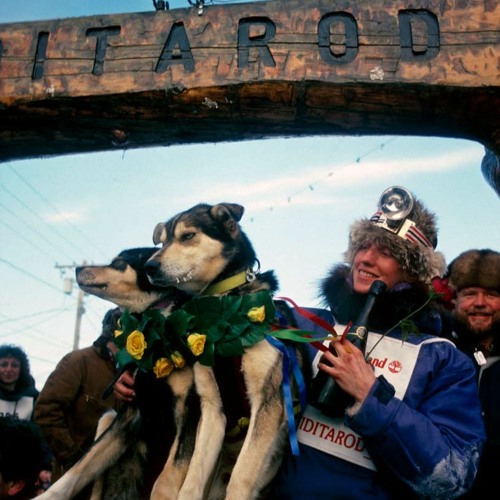 Stream episode 3-4-21 HanK-Zone- First Woman To Ever Win The Iditarod ...