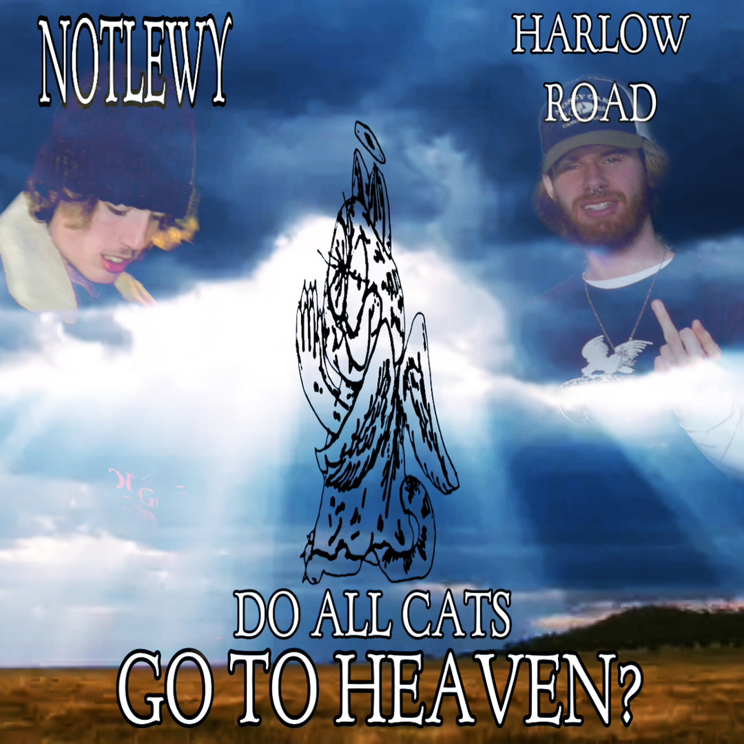 Stream NOTLEWY x HARLOW ROAD - do all cats go to heaven? (prod ...