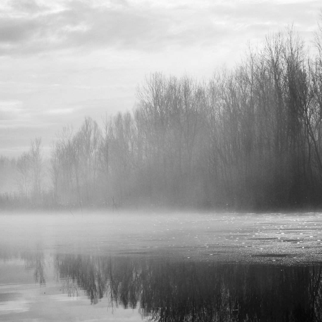 Stream Miroir | Listen to Deep Dub Minimal playlist online for free on ...