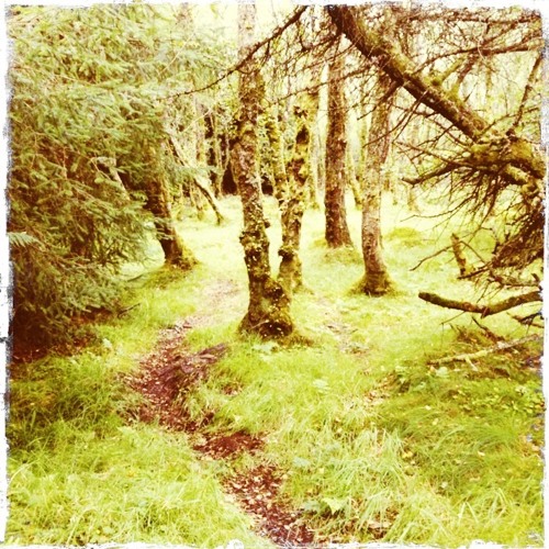 Stream Murmuration by Pippa Reid-Foster | Listen online for free on ...