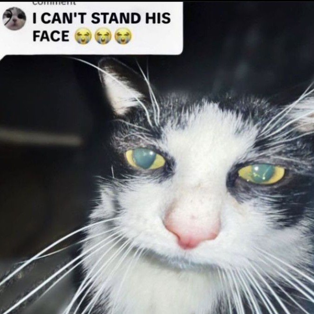 Stream Dummy cat | Listen to Uncanny Cat Golf OST playlist online for free on SoundCloud