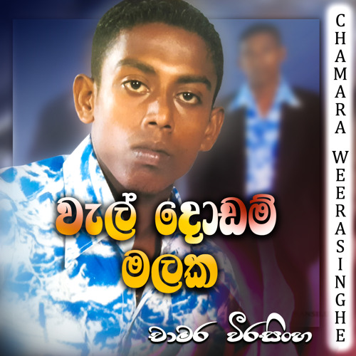 Stream Wal dodam malak by Chamara Weerasinghe | Listen online for free ...