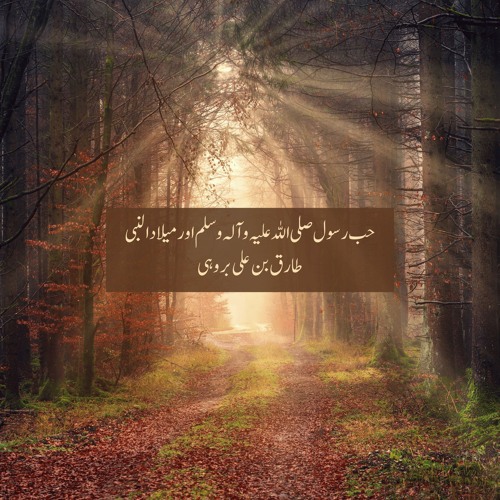 Stream Hub e Rasool Aur Milad Un Nabi - Tariq bin Ali Brohi by ...