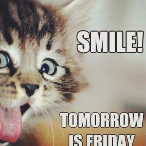 Stream 1c34 type beat by freakioca | Listen online for free on SoundCloud