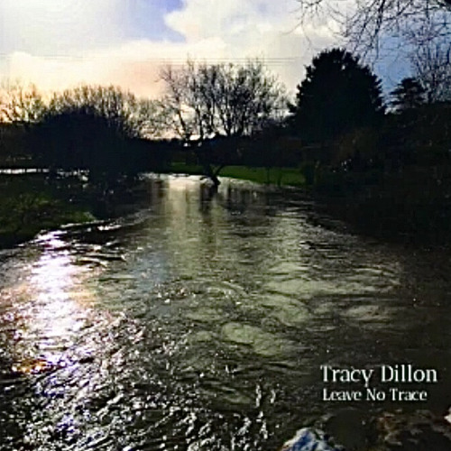 Stream Leave No Trace by Tracy Dillon | Listen online for free on ...