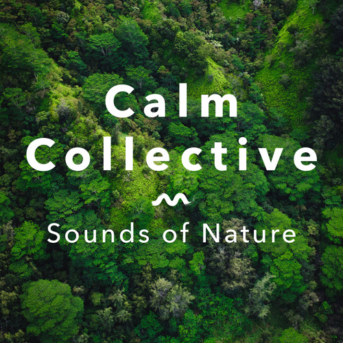 Stream Crackling Fire by Calm Collective | Listen online for free on SoundCloud