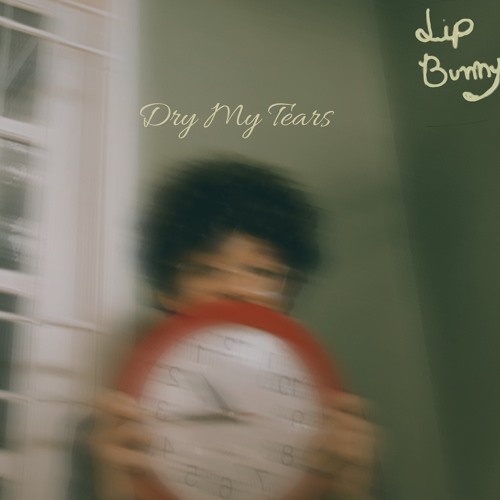 Stream Dry my Tears by Lip Bunny | Listen online for free on SoundCloud