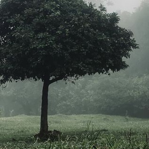 Stream ʙʟᴏᴏᴅʏʀᴜɴᴛᴢʀᴇᴇᴍᴢ Listen To Sesh Vol2 Sorta Chill Mix Playlist Online For Free On