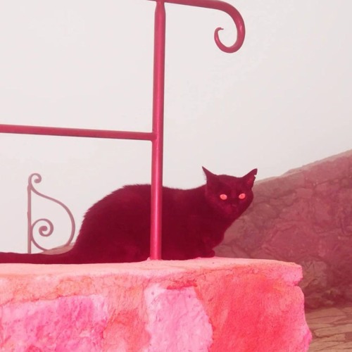 Stream hold on by Warren Hunter | Listen online for free on SoundCloud