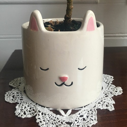 Stream The Spider, The Cat, The Squirrel, The Mouse and the Bear by ...