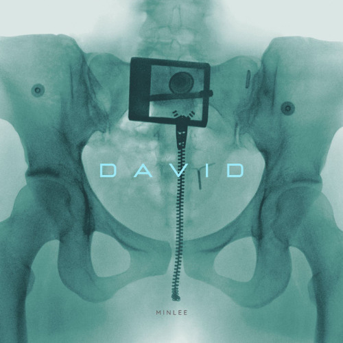 Stream LORDE - DAVID (minlee remix) by minlee 민리 | Listen online for ...