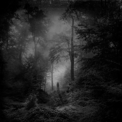 Stream Murderer In The Woods by Wᚺᛐᛅᛊ ᚱᛰᛢᛊ ⎲ᛰVᛊN | Listen online for ...