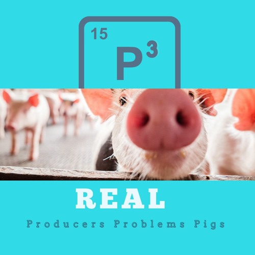 Stream episode The Why of "The Real P3" by The Real P3 podcast | Listen ...