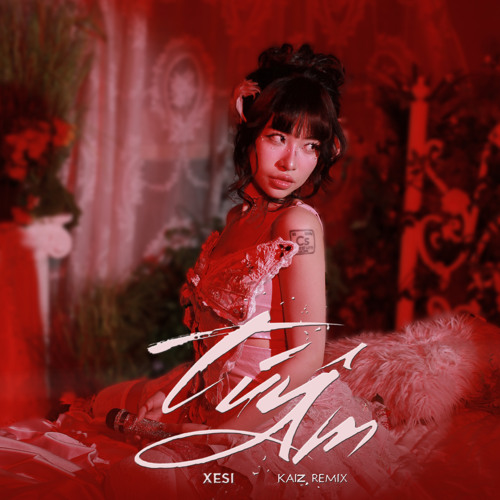 Stream Tuý Âm (2025 Version – Kaiz Remix) by Xesi | Listen online for ...