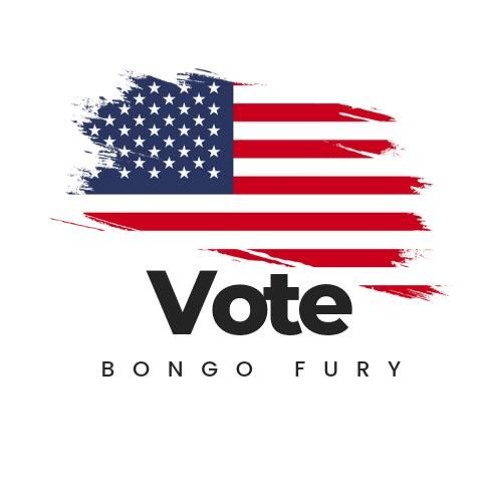 Stream Bongo Fury - Novembre 2024 - Vote Bongo Fury by Radio Gâtine ...