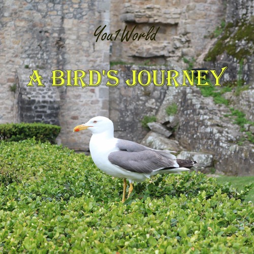 Stream A Bird's Journey by You1World | Listen online for free on SoundCloud