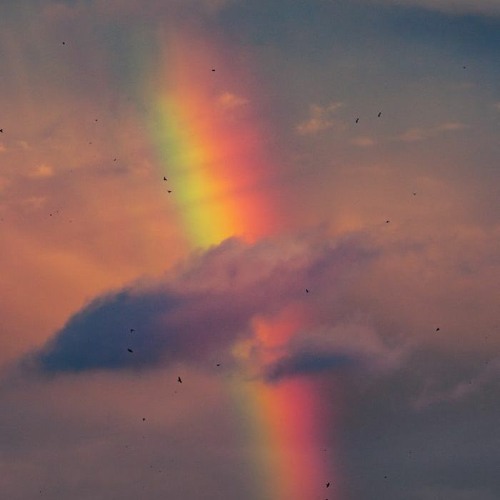 Stream Poppy James -Test1 (trimmed) by Simone Johnson (@sjj.nyc ...