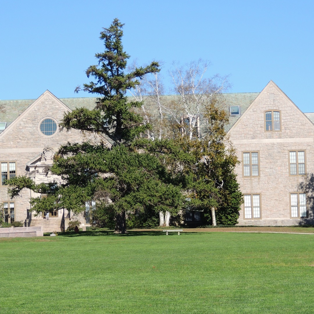 Stream JonathanTaylorFailla | Listen to CD 7 Jonathan Taylor Failla's ...