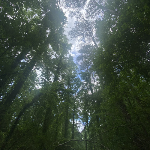 Stream History (prod Ivvys) by Dcmplts | Listen online for free on ...