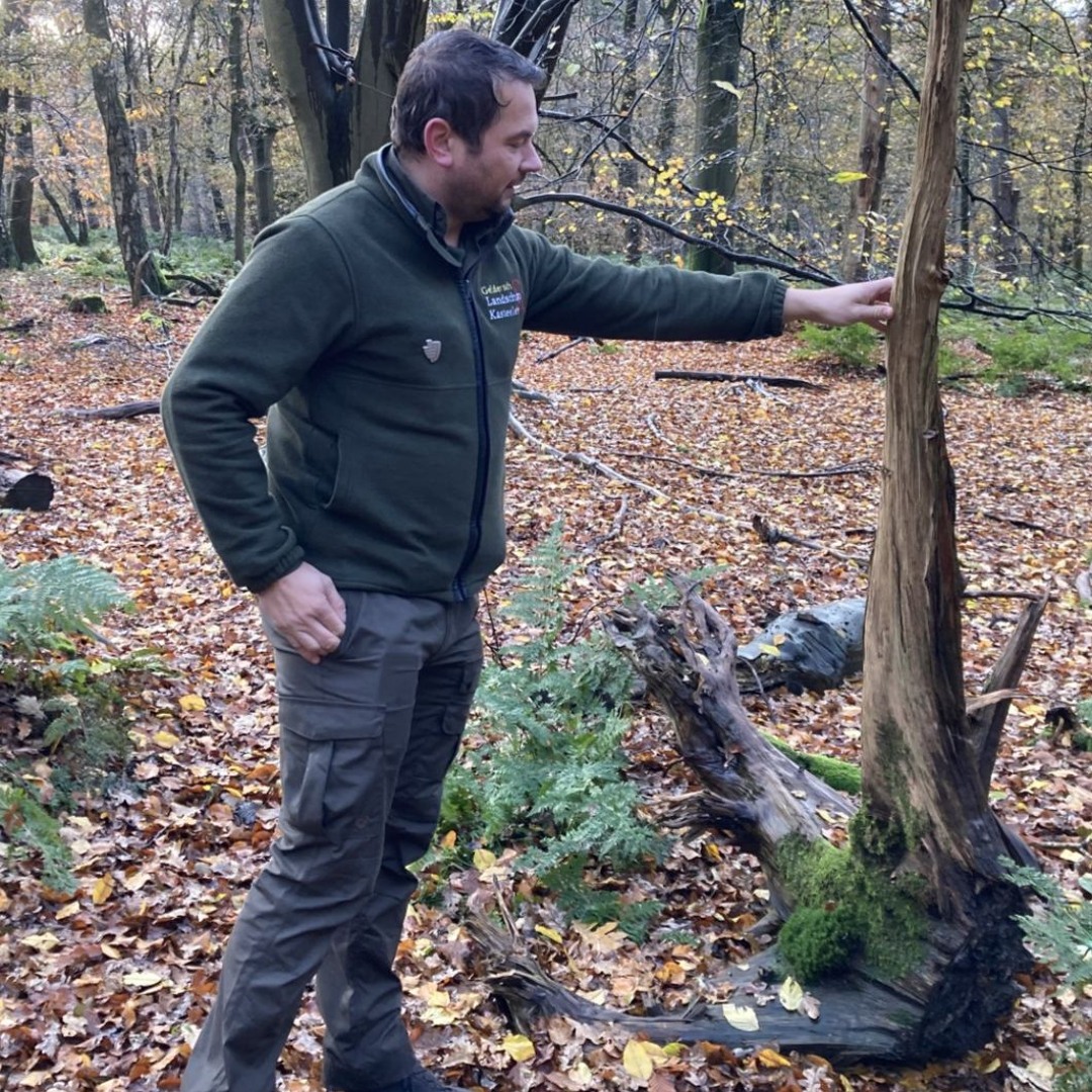 Stream Dood hout: het nieuwe goud. Deel 2. Zondag 10 dec. 2023. by ...
