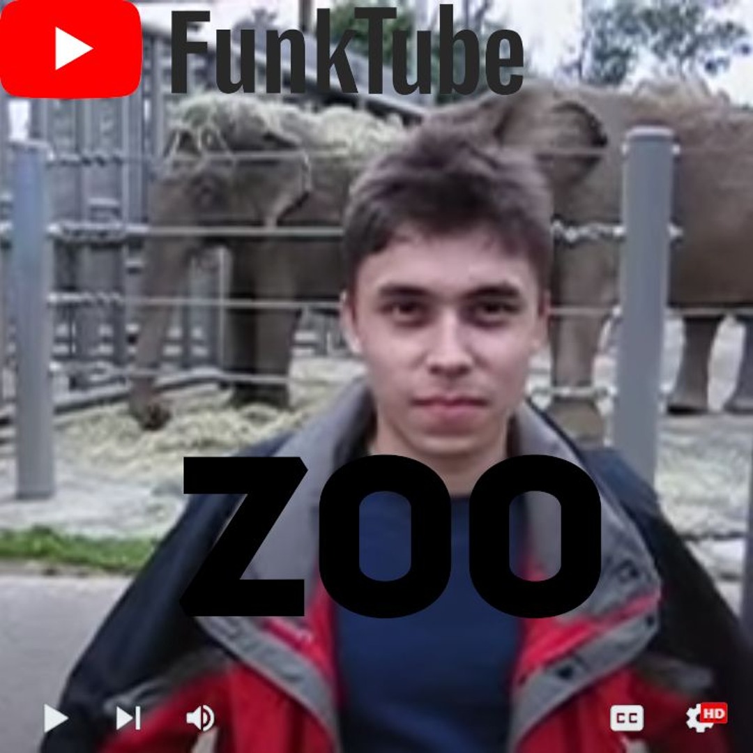 Stream FunkTube - Zoo by Alextwo | Listen online for free on SoundCloud