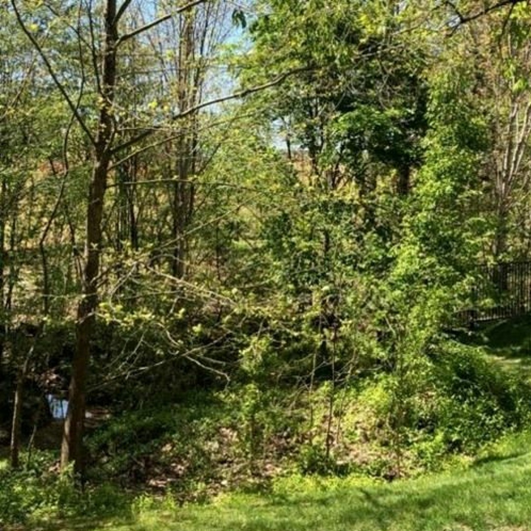 Stream osquinn / p4rkr - Ok Im Cool (prod. Blackwinterwells) by osquinn ...