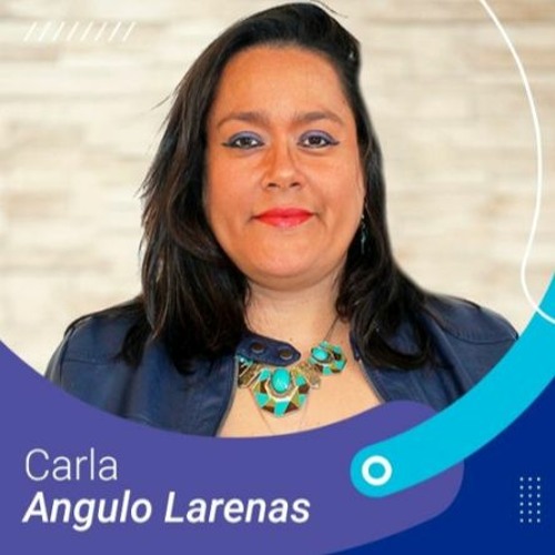 Stream Bienvenida Gestión de Proyectos by Universidad Bernardo O ...