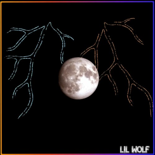 Stream Lil Wolf - Deadliest - Directed By: Earth Dart by Lil Wolf ...