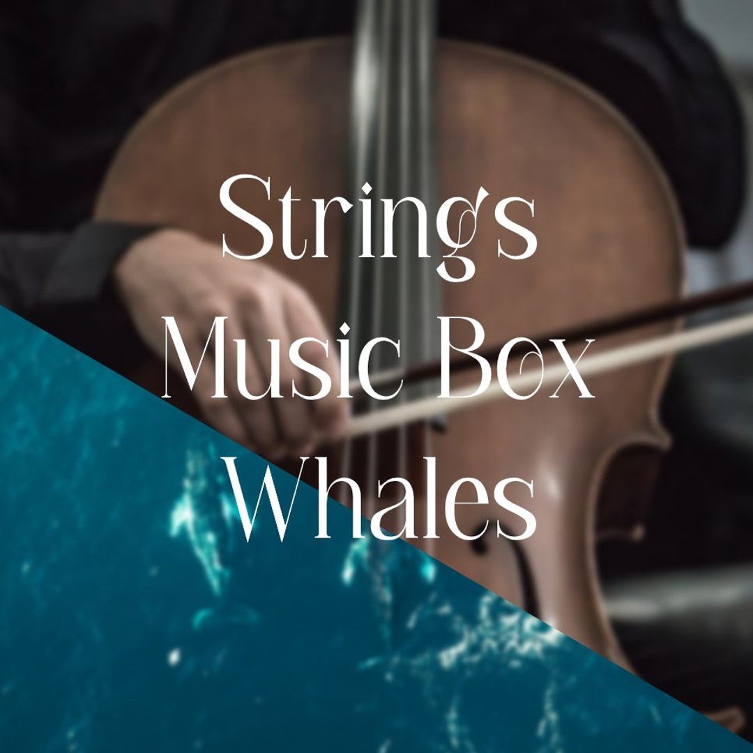 Stream Meditation Track Sample: Strings / Music box + Whale sounds by ...
