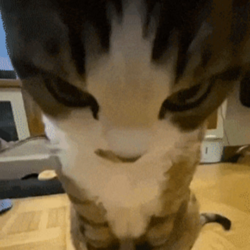 Stream BROKE FUQ BEATS 4.0 by Lil Tism | Listen online for free on ...