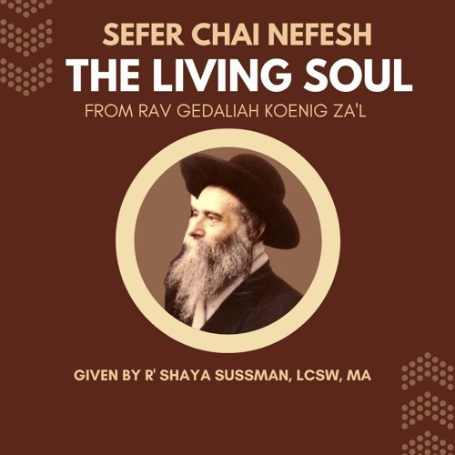 Stream The Living Soul (1) Chassidim Vs Misnagdim by Nach Daily, 5 ...