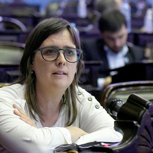 Stream Diputada Brenda Austin sobre el proyecto de etiquetado frontal ...