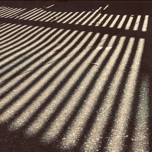 Stream 'Entrainment' by Uma Dingemans Uma Dingemans by Signal | Listen ...