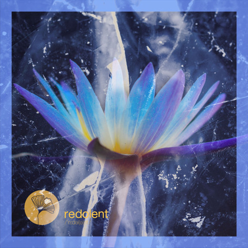 Stream Shine You Crazy Diamond Extended Mix By Darksidevinyl Listen