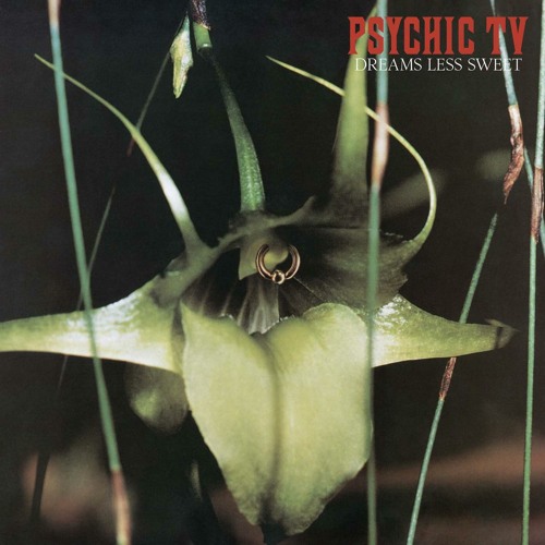 Stream Clouds Without Water by Psychic TV | Listen online for free on ...