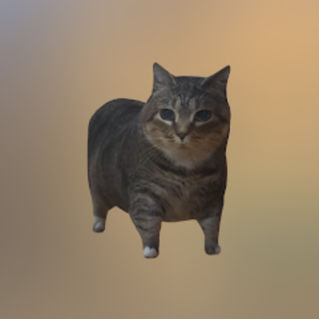 Stream OIIAIOIIIAI (spinning cat meme) Remix by Gaming Network Studio ...