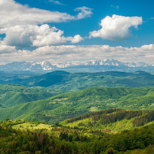 Stream Guitar Theme by Novak Starina | Listen online for free on SoundCloud