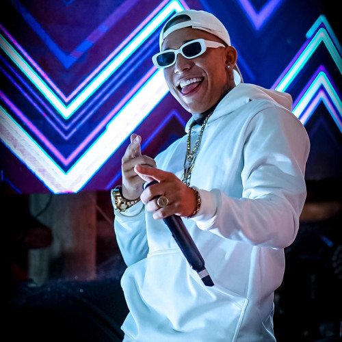 Stream VOU VOLTAR CURTIR BAILE NO MORRO ( DJ GUSTAVO BRABO ) by DJ ...