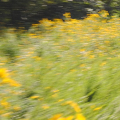 Stream Music for the Final Scene of "A Singular They" by Michael Genese ...