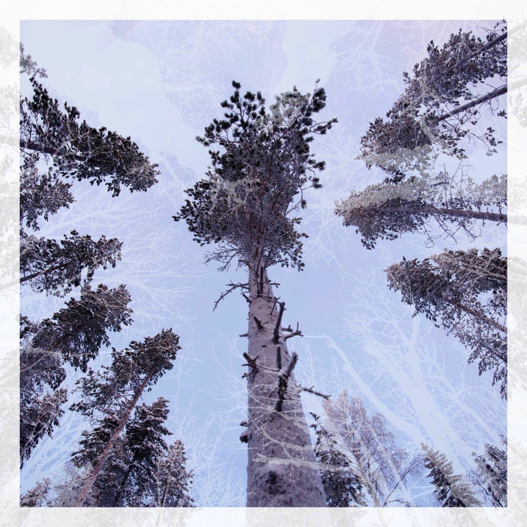 Stream We Dream of Eden - I See You in Light by Echoes Blue Music ...