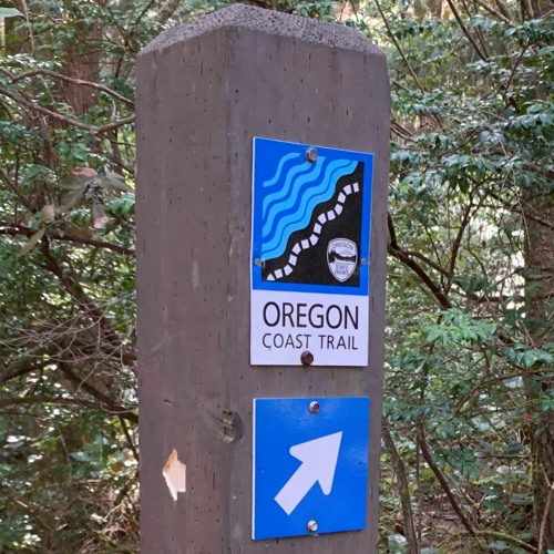 Stream Hiking the Oregon Coast Trail by Explore Oregon | Listen online ...