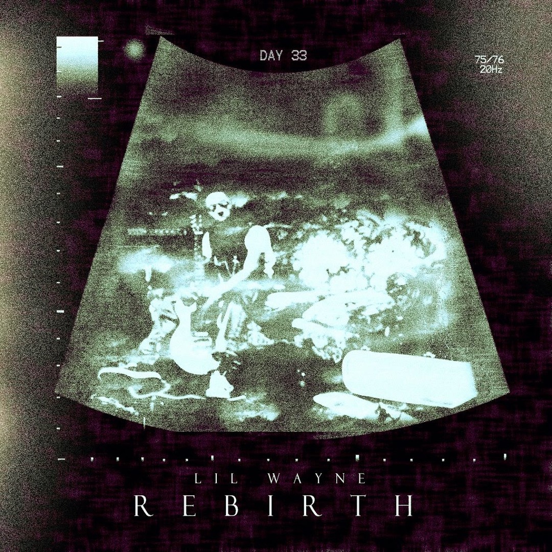 Lil Wayne Album Cover Rebirth