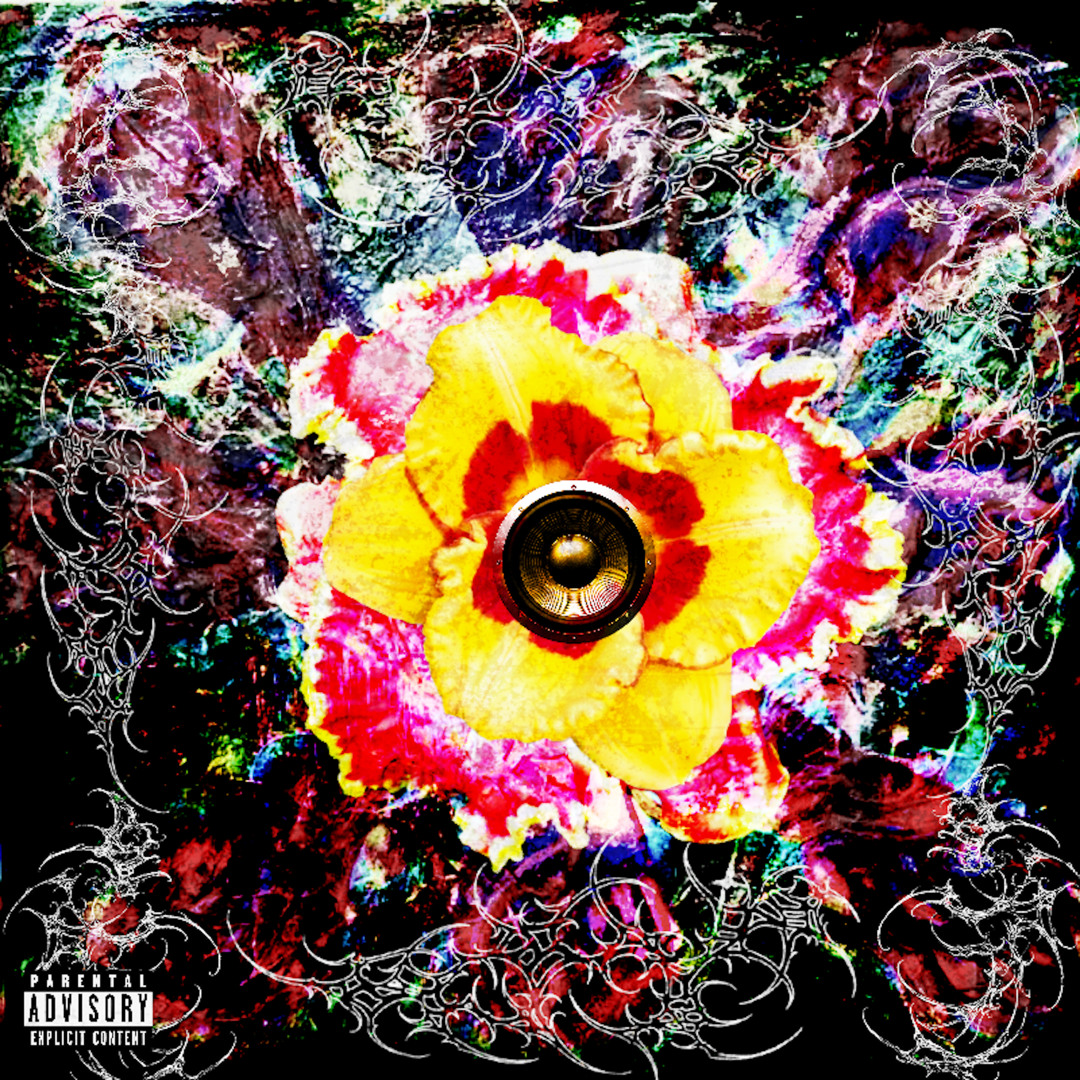 Stream Kayfrmdaraq | Listen to Rest In Bass👩🏾‍🎤 playlist online for ...