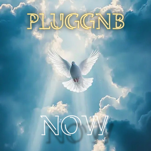 Stream PluggNB Archive | Listen to Pluggnb Now 🕊️ playlist online for ...