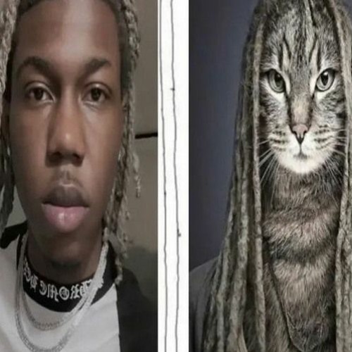 Stream SKEEYEE by cxdd | Listen online for free on SoundCloud