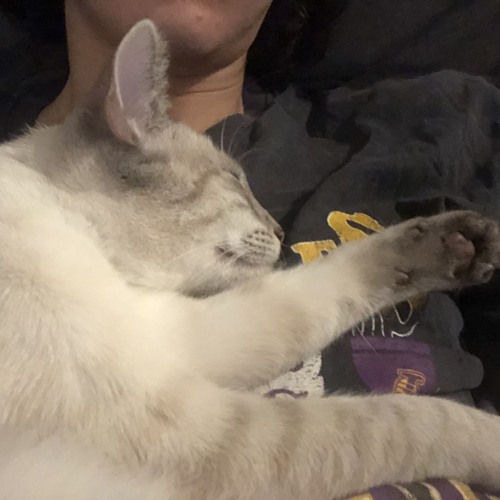 Stream MANoLo | Listen to teknobyl playlist online for free on SoundCloud