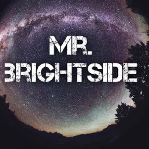 Stream Wheelie-bin n Kin - Mr Brightside re-work(free download) by ...