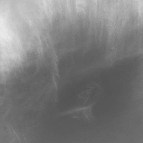 Stream El Ruiseñor by Gus Cloud | Listen online for free on SoundCloud