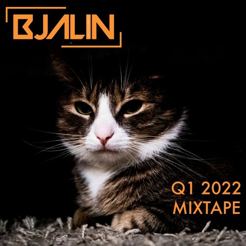 Stream Q1 2022 Mixtape by Bjalin | Listen online for free on SoundCloud