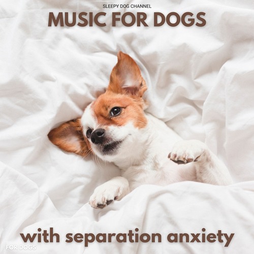 Stream Puppy Dreamscape by Sleepy Dog Channel | Listen online for free ...